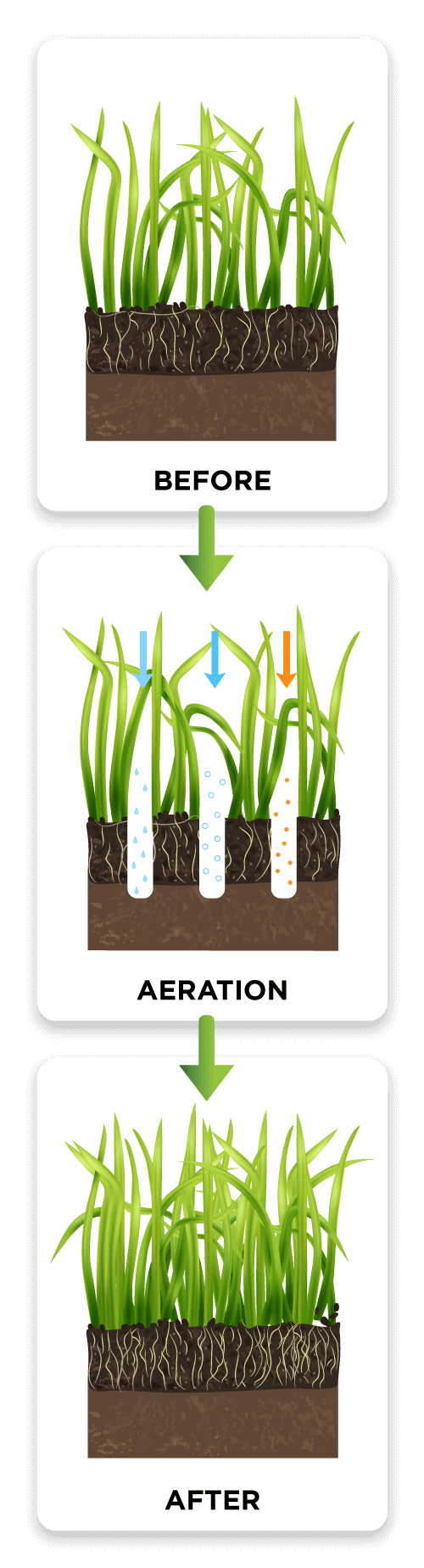 Core Aeration - Core Turf Solutions